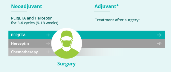 Neoadjuvant Treatment for Breast Cancer | PERJETA® (pertuzumab)