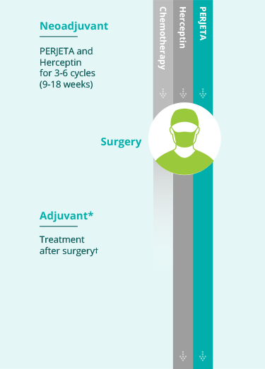 pertuzumab and trastuzumab side effects